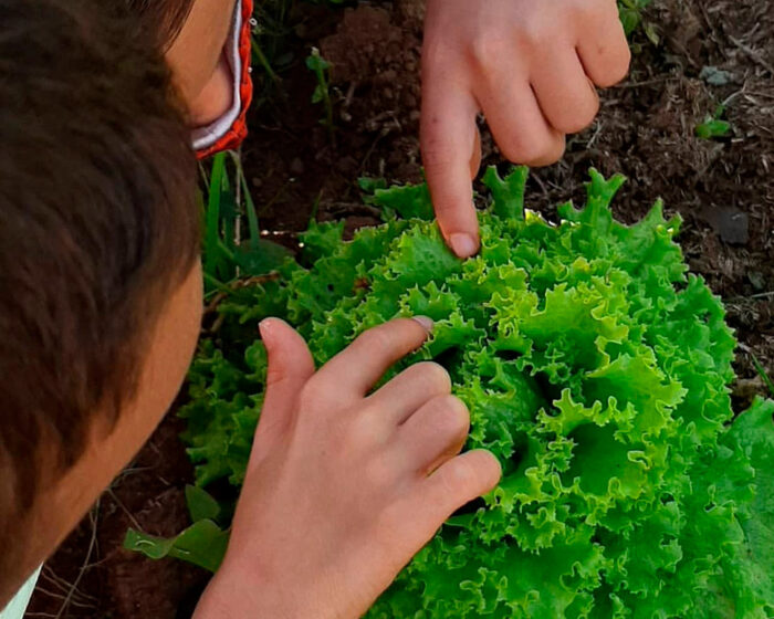 Educación en la Naturaleza: Lecciones para la Vida - Kim Educativo